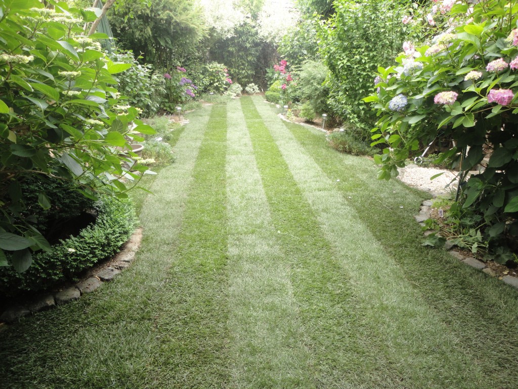 onderhoud van grasperk - Tuinen DeneveTuinen Deneve